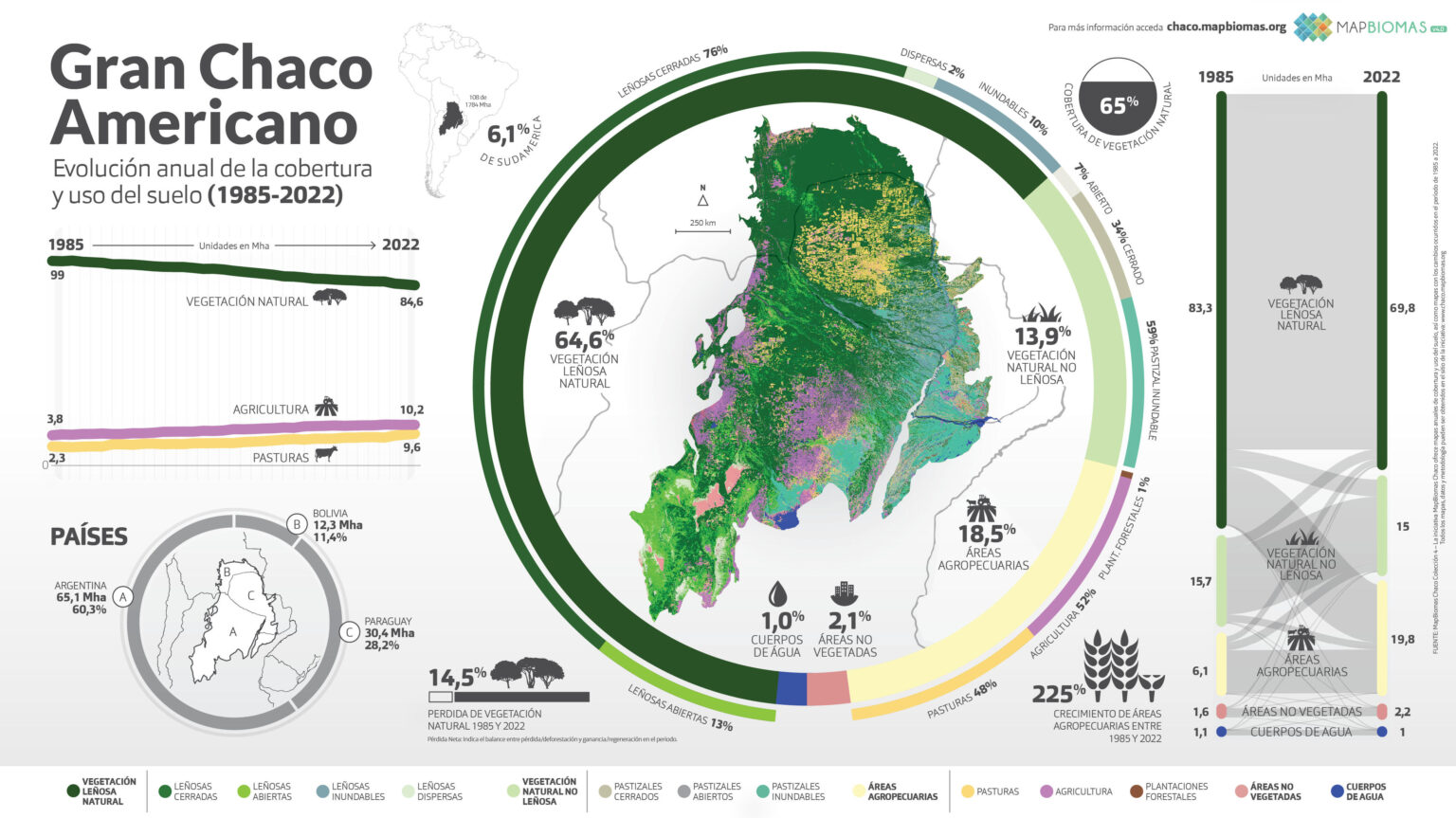 MapBiomas Chaco